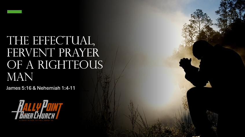 Fighting for My Pea Patch