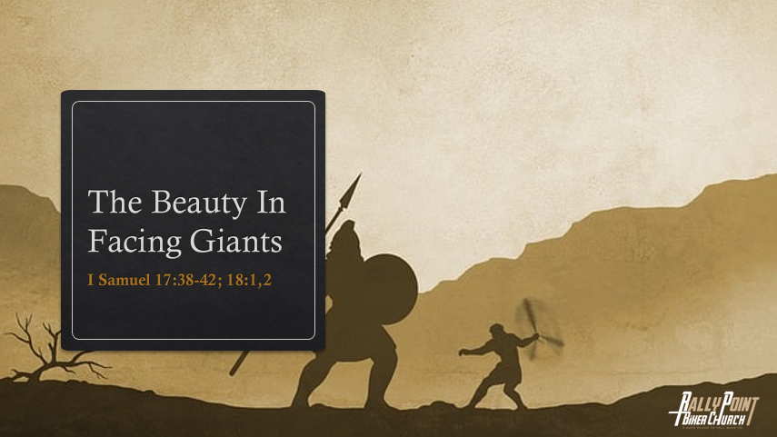 Fighting for My Pea Patch